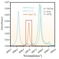 Biomedical Optics Express