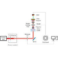 Biomedical Optics Express