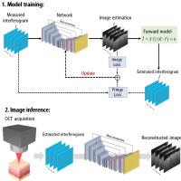 Biomedical Optics Express