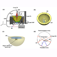 Biomedical Optics Express