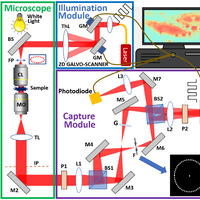 Biomedical Optics Express