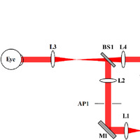 Biomedical Optics Express