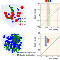 Biomedical Optics Express