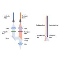 Biomedical Optics Express