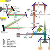 Biomedical Optics Express