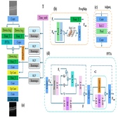 Biomedical Optics Express