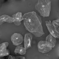 Biomedical Optics Express