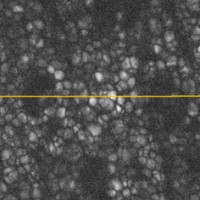 Biomedical Optics Express