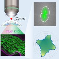 Biomedical Optics Express