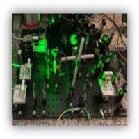 OE Issues In Progress