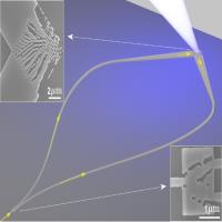 OPTICA Vol. 10 Iss. 7