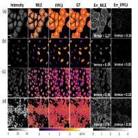 OPTICA Vol. 10 Iss. 7