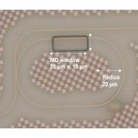 OPTICA Vol. 11 Iss. 6